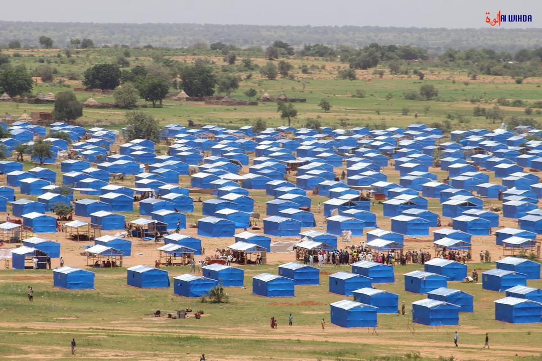 AGENCE DE DÉVELOPPEMENT ÉCONOMIQUE ET SOCIAL | ONG humanitaire